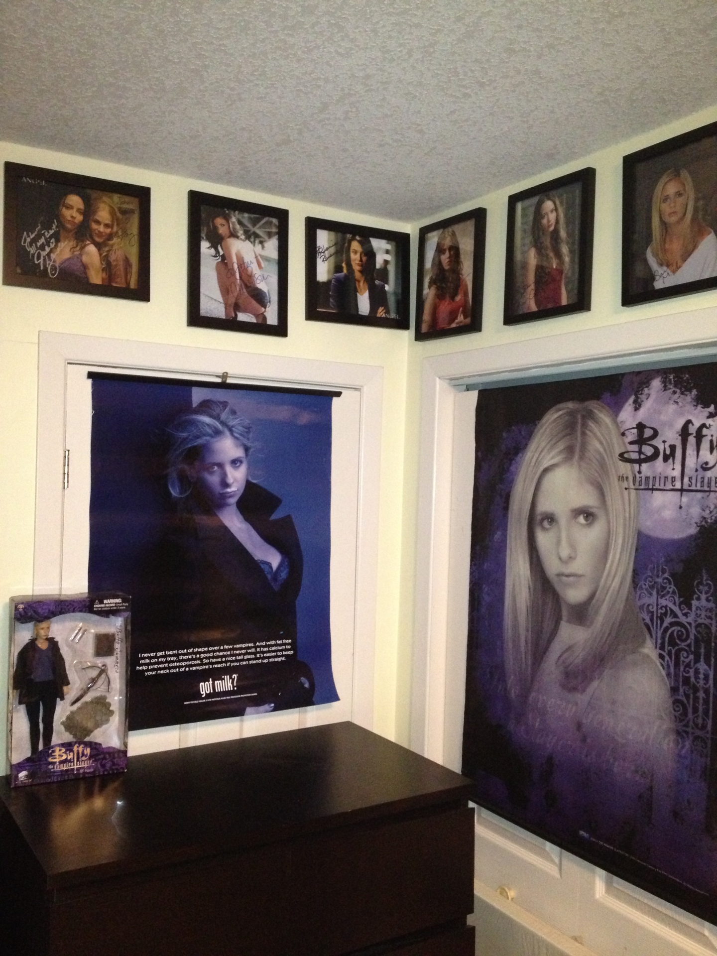 spanky87's Home Theater Gallery - Buffy the Vampire Slayer room (34 photos)