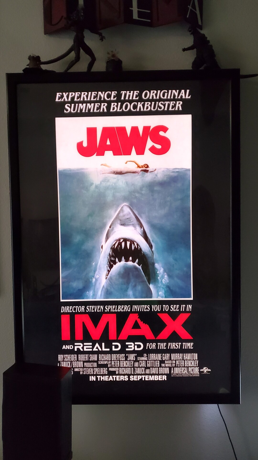 CaptWithNoName's Home Theater Gallery - Double Sided Movie Posters ...