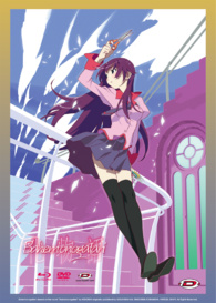 Bakemonogatari + Nisemonogatari Blu-ray (Edition Collector A4 ...