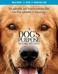 A dog's purpose full movie store