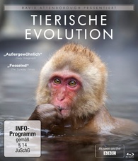 David Attenborough's Rise of Animals: Triumph of the Vertebrates Blu ...