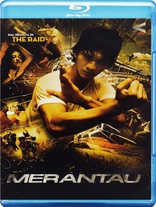 Merantau Blu-ray (Italy)