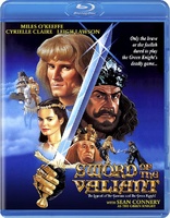 Sword of the Valiant: The Legend of Sir Gawain and the Green Knight Blu ...