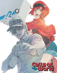 Cells at Work!: Complete Collection Blu-ray Release Date August 27 ...