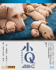 Little Q Blu-ray (小Q / Xiao Q) (Hong Kong)