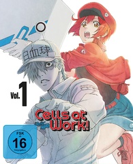Cells at Work!: Vol. 1 Blu-ray Release Date May 25, 2020 (DigiBook ...