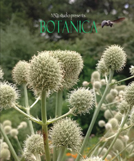 Botanica Blu-ray Release Date November 10, 2020 (eBay Exclusive)