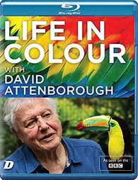 Life in Colour with David Attenborough Blu-ray (United Kingdom)