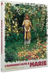 Potemkine Blu-ray Movies and Releases