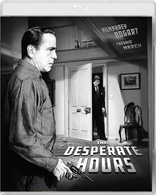 The Desperate Hours Blu-ray