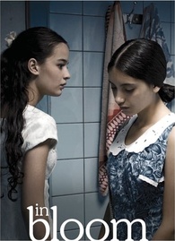 In Bloom Blu-ray (Grzeli nateli dgeebii)