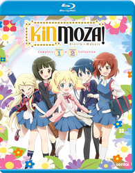 Kin-iro Mosaic: Complete Season 1 + Season 2 Collection Blu-ray ...