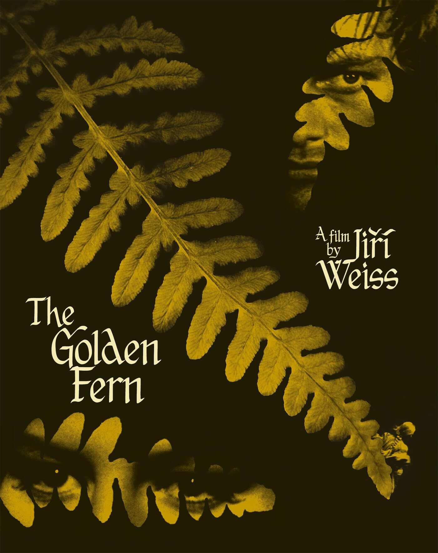 The Golden Fern Blu-ray
