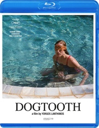 Dogtooth Blu-ray (Κυνόδοντας / Kynodontas) (Netherlands)