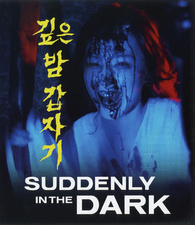 Suddenly in the Dark 4K Blu-ray (Suddenly at Midnight / Suddenly in ...