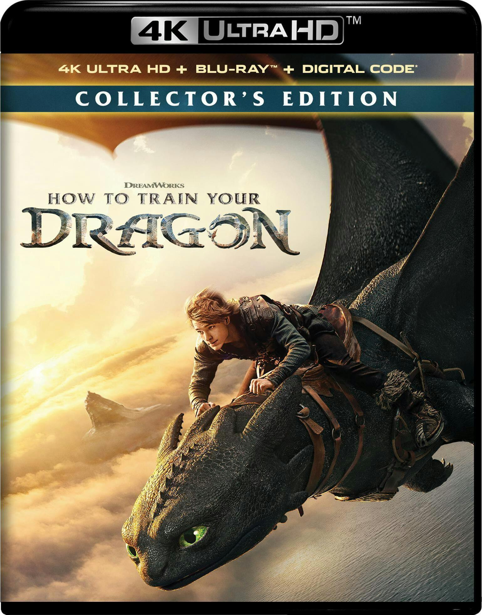 Download How to Train Your Dragon (2025) IMAX Dual Audio {Hindi-English ...