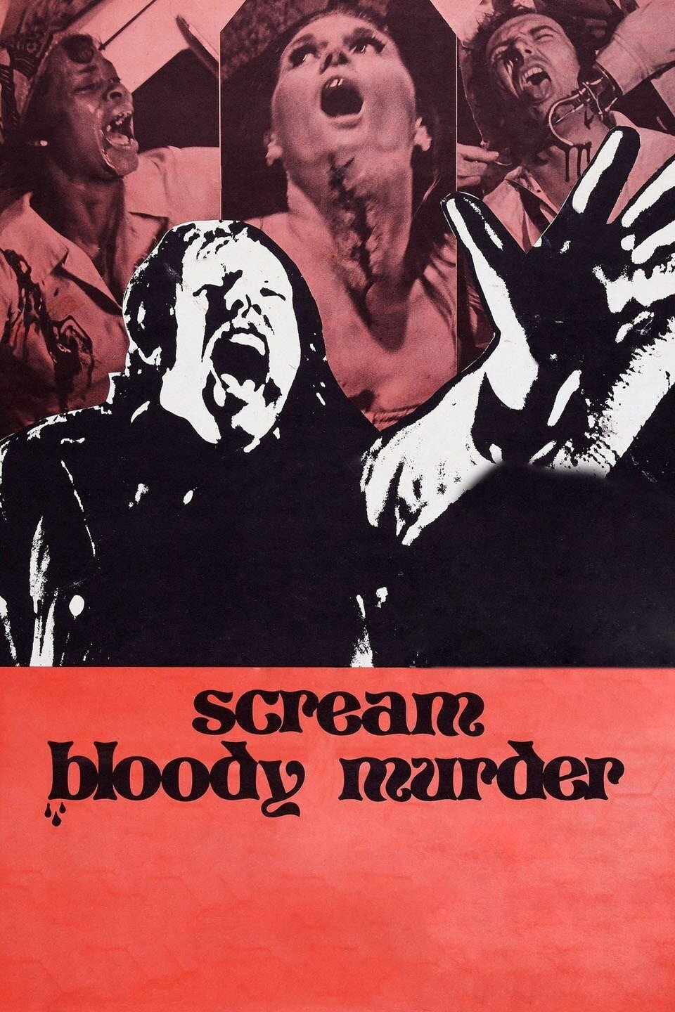 Scream Bloody Murder Blu-ray