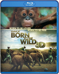 IMAX: Born to Be Wild 3D Blu-ray (Blu-ray 3D + Blu-ray) (South Africa)
