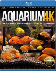 Aquarium 4K - The Amazing Blood Parrot Cichlid Aquarium Blu-ray ...