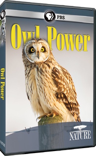 Nature: Owl Power DVD