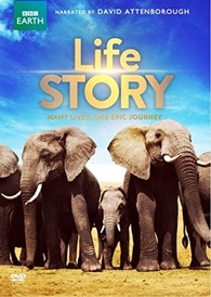 Life Story DVD Release Date February 9, 2016