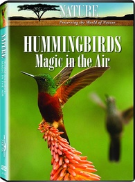 Nature: Hummingbirds - Magic in the Air DVD