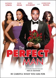The Perfect Man DVD