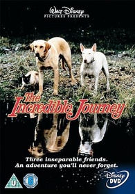 The Incredible Journey DVD (United Kingdom)