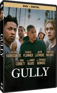 Gully DVD (DVD + Digital)