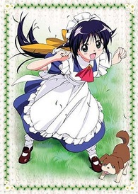 Mahoromatic: Complete Series DVD (Automatic Maiden / Something More ...