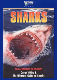 Sharks DVD (Great White! / The Ultimate Guide: Sharks)