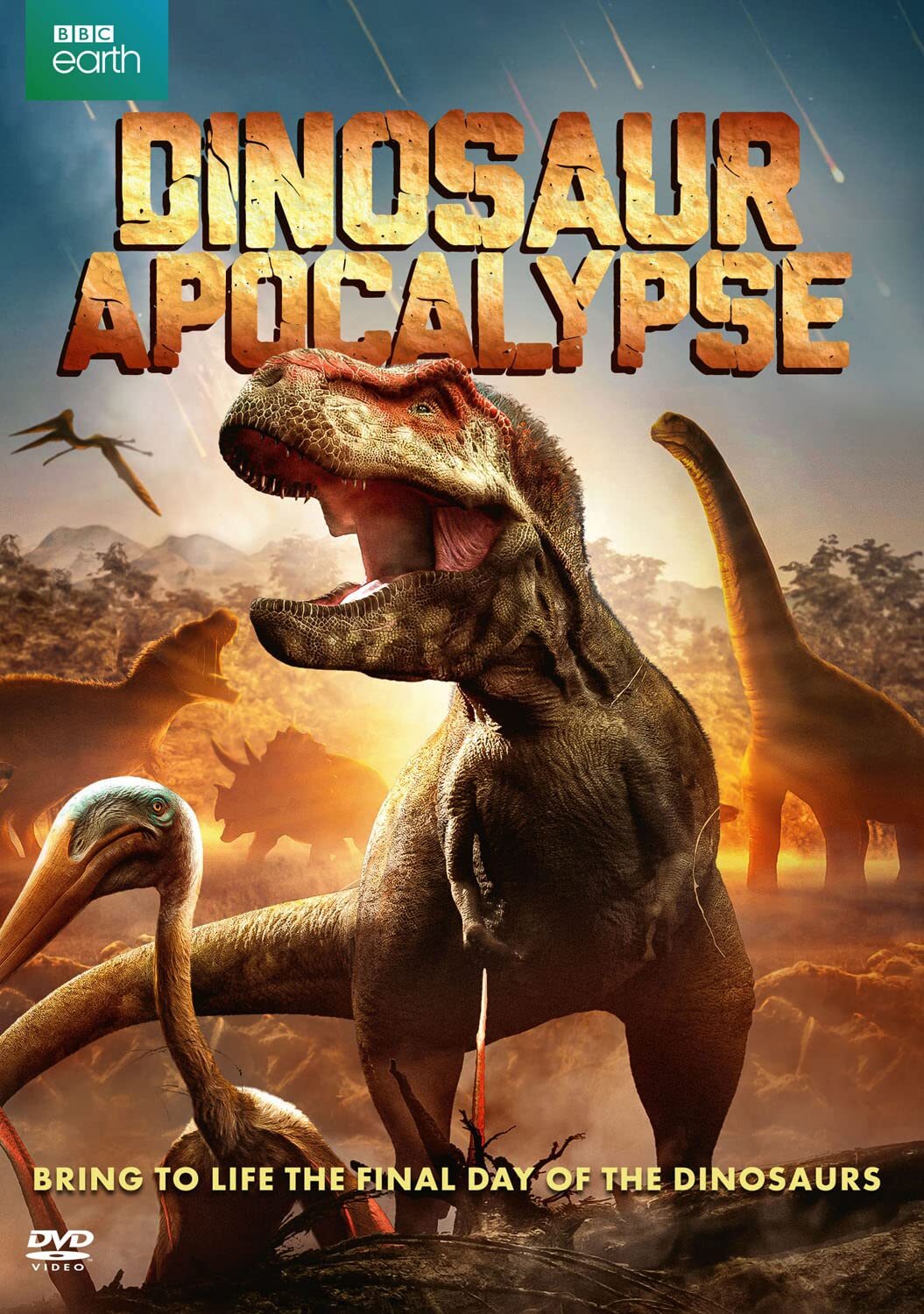 Apocalypse 2022 Nija Dvd Move