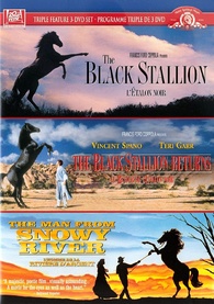 The Stallion Collection DVD