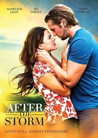 After The Storm DVD