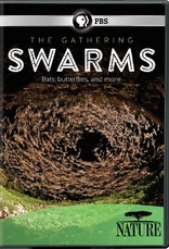 Nature: The Gathering Swarms DVD