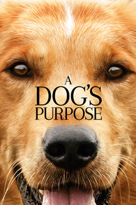 A Dog's Purpose MA