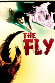 The Fly MA
