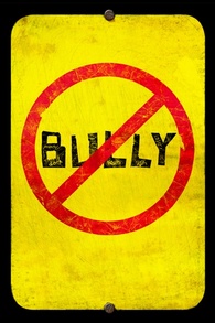 Bully Digital