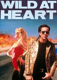 Wild at Heart Digital