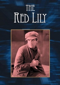 The Red Lily Digital