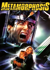 Metamorphosis Digital