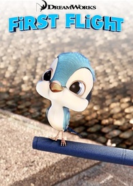 First Flight Digital