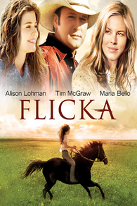 Flicka Digital