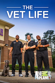 The Vet Life: Season 1 Digital