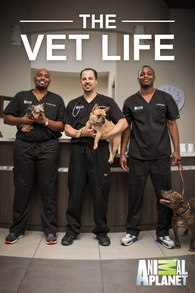 The Vet Life: Season 2 Digital