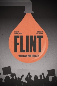 Flint Digital