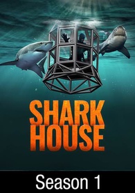 Shark House Digital