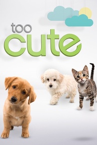 Too Cute: Season 1 Digital