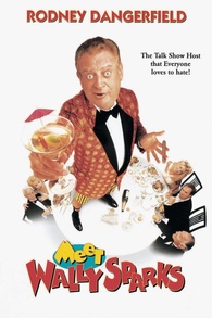 Meet Wally Sparks Digital