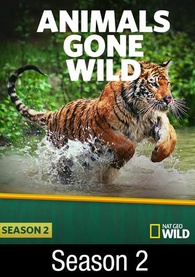 Animals Gone Wild: Season 2 Digital